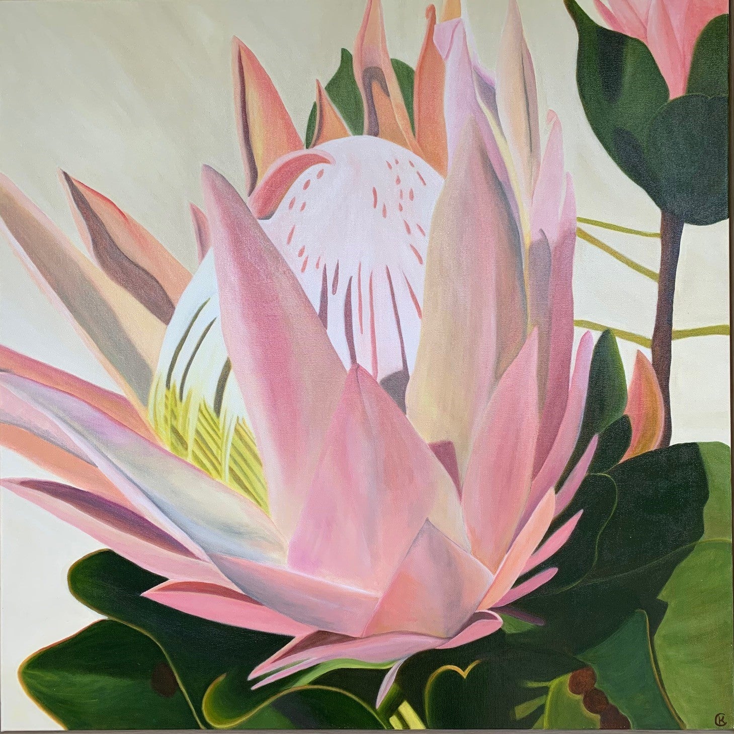 Summer Awakens 1 – Kimberley Cardow
