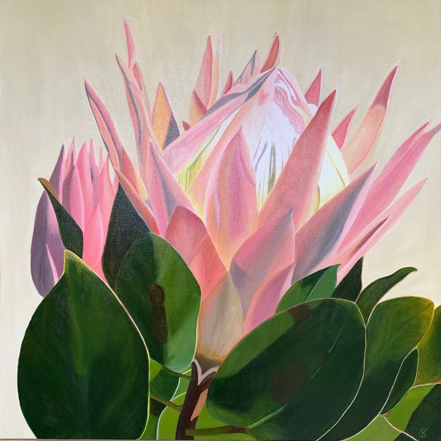 Summer awakens 2 – Kimberley Cardow